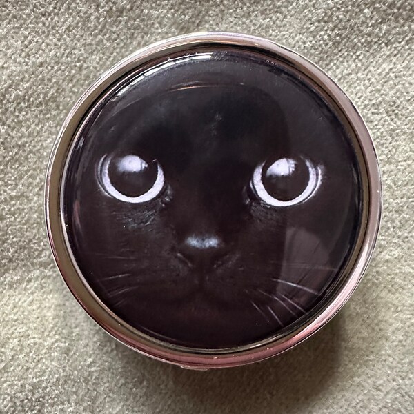 Cat Pill Box - Etsy