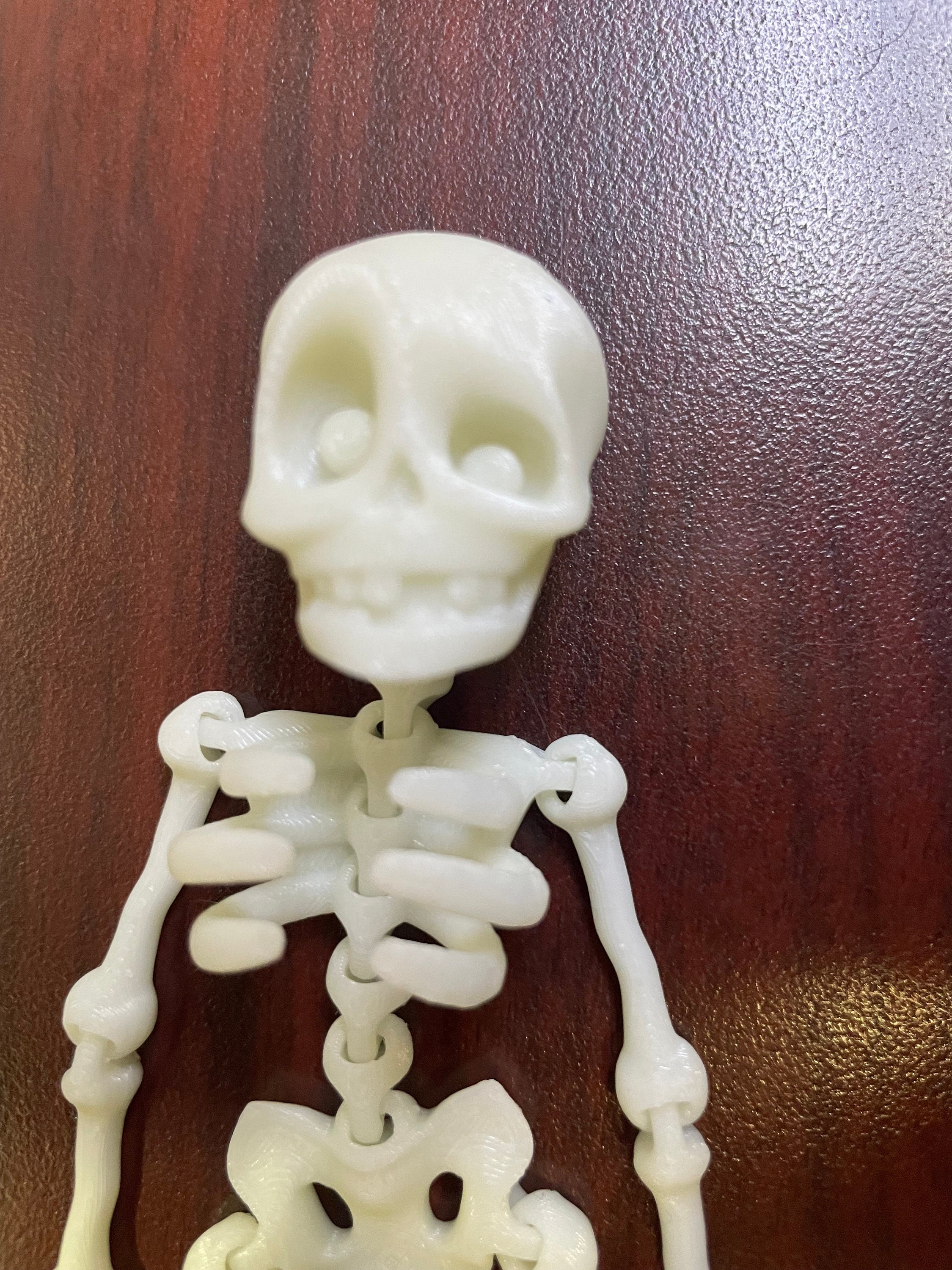 3D Printed Skeleton, Articulated Fidget & Sensory Toy - Etsy