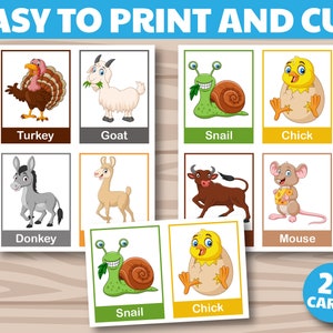 24 Farm Animals Cards, Montessori Flash Cards, Cute Farm Animals ...