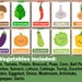 20 Vegetables Flash Cards, Montessori Flashcards, Pre-school Cards ...