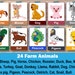24 Farm Animals Cards, Montessori Flash Cards, Cute Farm Animals ...