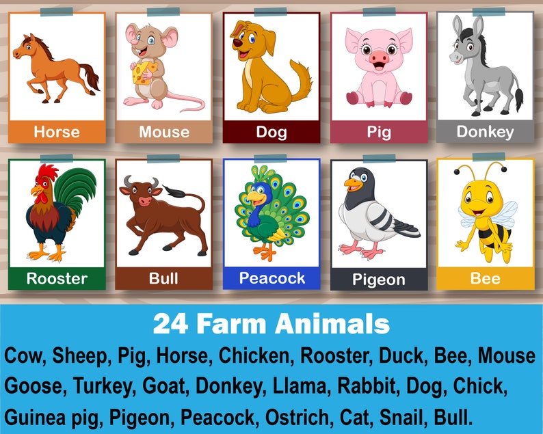 24 Farm Animals Cards, Montessori Flash Cards, Cute Farm Animals ...