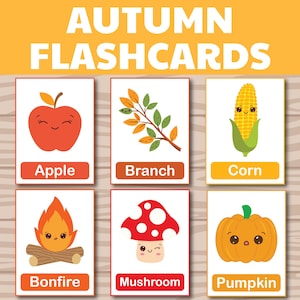 Autumn Flashcards Printable, 20 Fall Vocabulary Cards PDF, Montessori ...