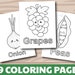 Bundle Fruits and Vegetables Coloring Pages, Vegetable Coloring Pages ...