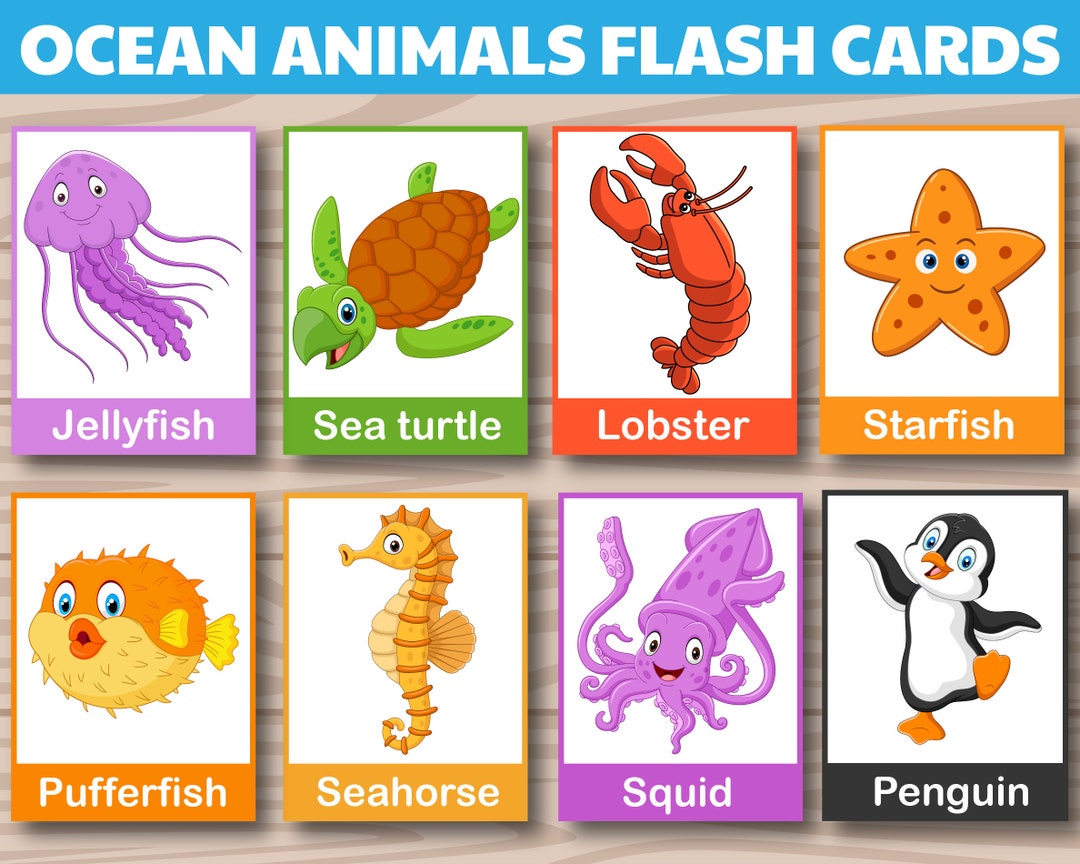 24 Ocean Animals Vocabulary Flash Cards - Printable Digital Download ...