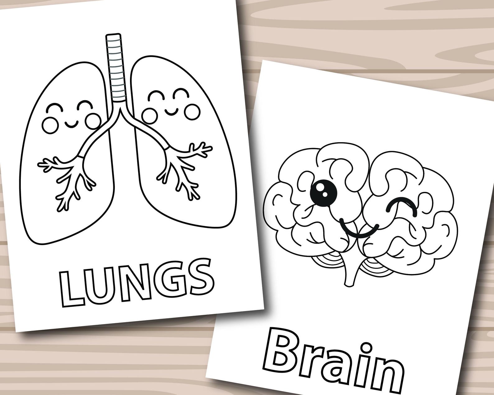 Human Anatomy Coloring Pages, Kawaii Human Organs, Homeschool ...