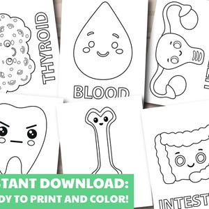Human Anatomy Coloring Pages, Kawaii Human Organs, Homeschool ...