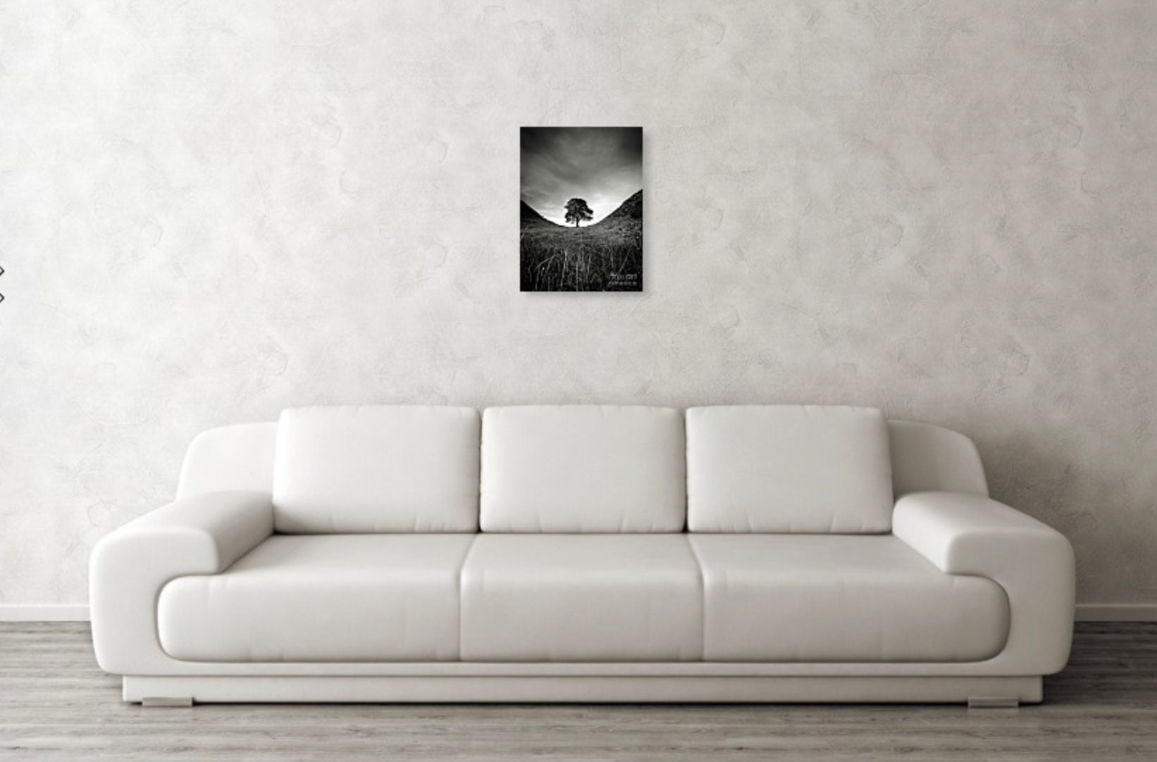 Photo Art Print / Greetings Card - Sycamore Gap Tree, Hadrian's Wall ...