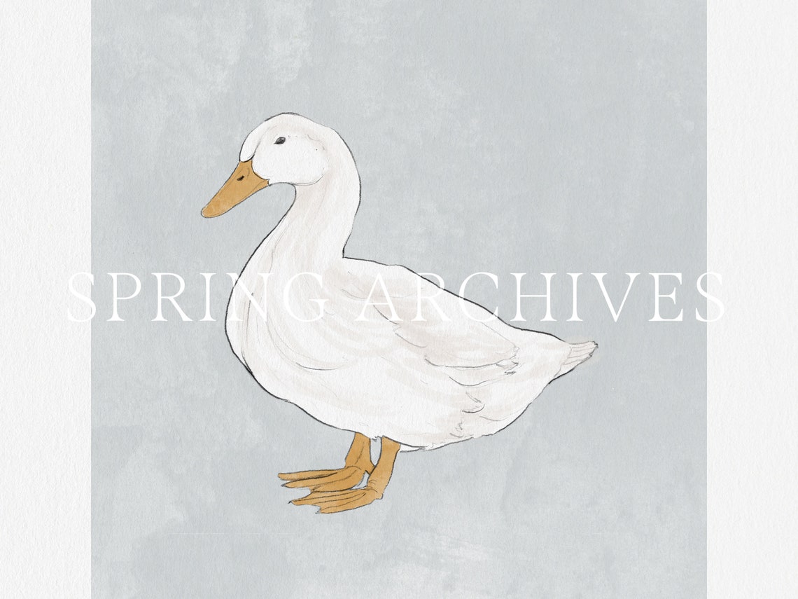 Duck Drawing Printable Wall Art Light Blue Home Decorations - Etsy
