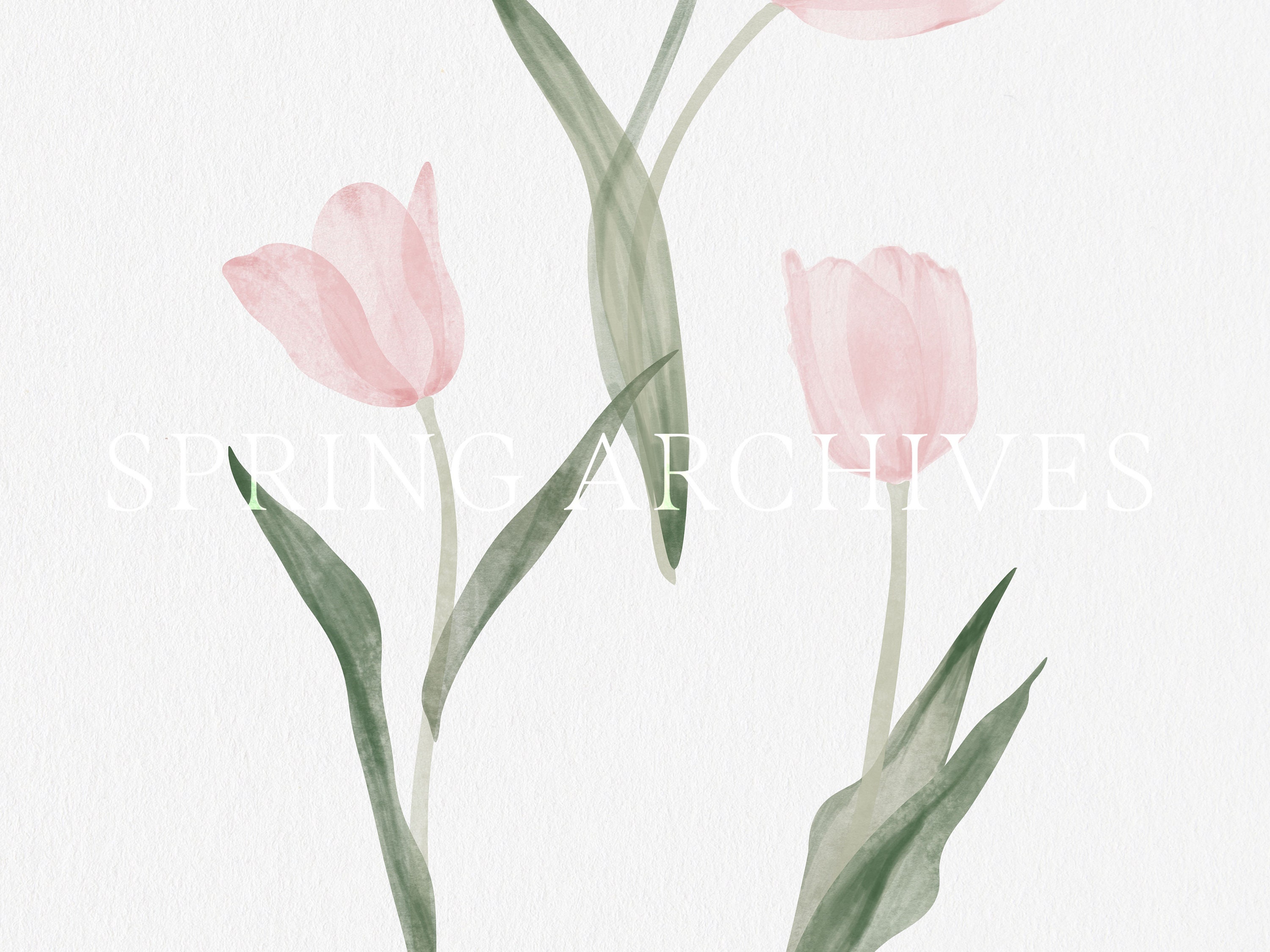 Tulips Watercolor Printable Art Print Spring Home Decor - Etsy