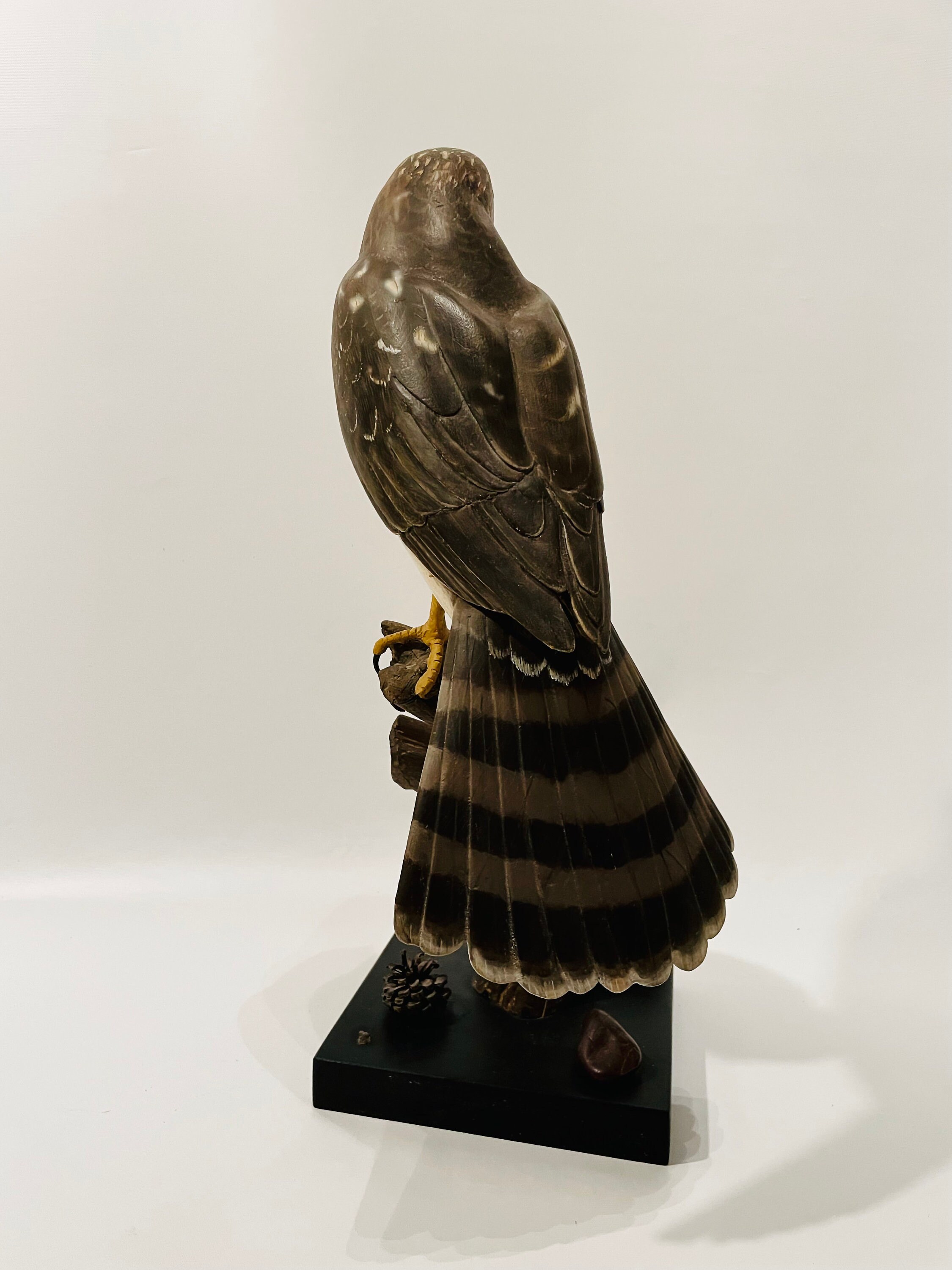 Cooper's Hawk Realistic Wood Carving of a Wood Duck Decoy - Etsy
