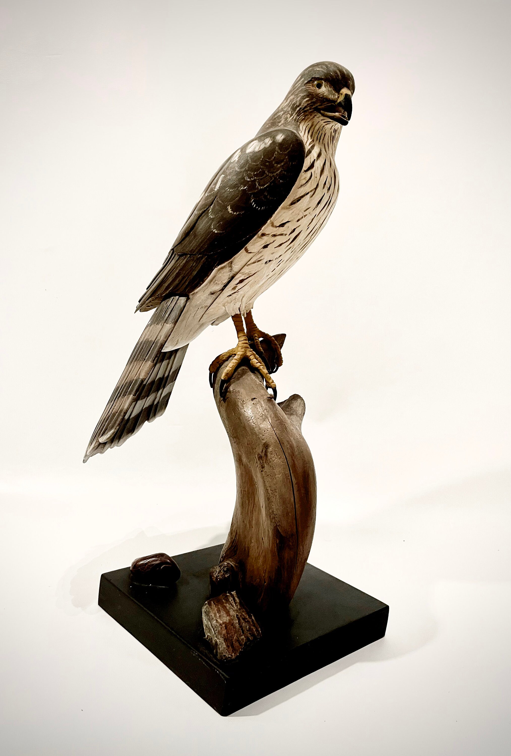 Cooper's Hawk Realistic Wood Carving of a Wood Duck Decoy - Etsy