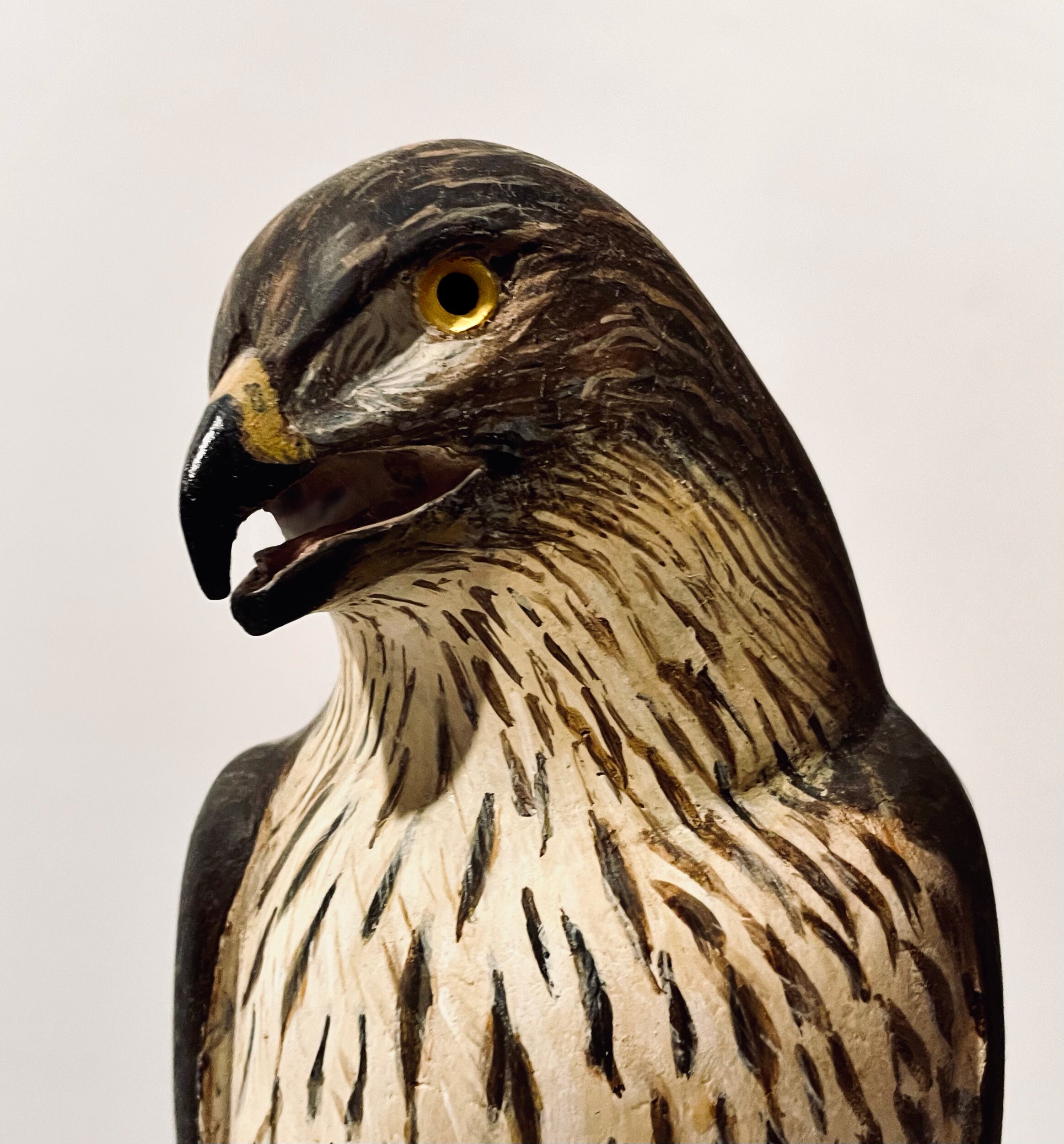 Cooper's Hawk Realistic Wood Carving of a Wood Duck Decoy - Etsy