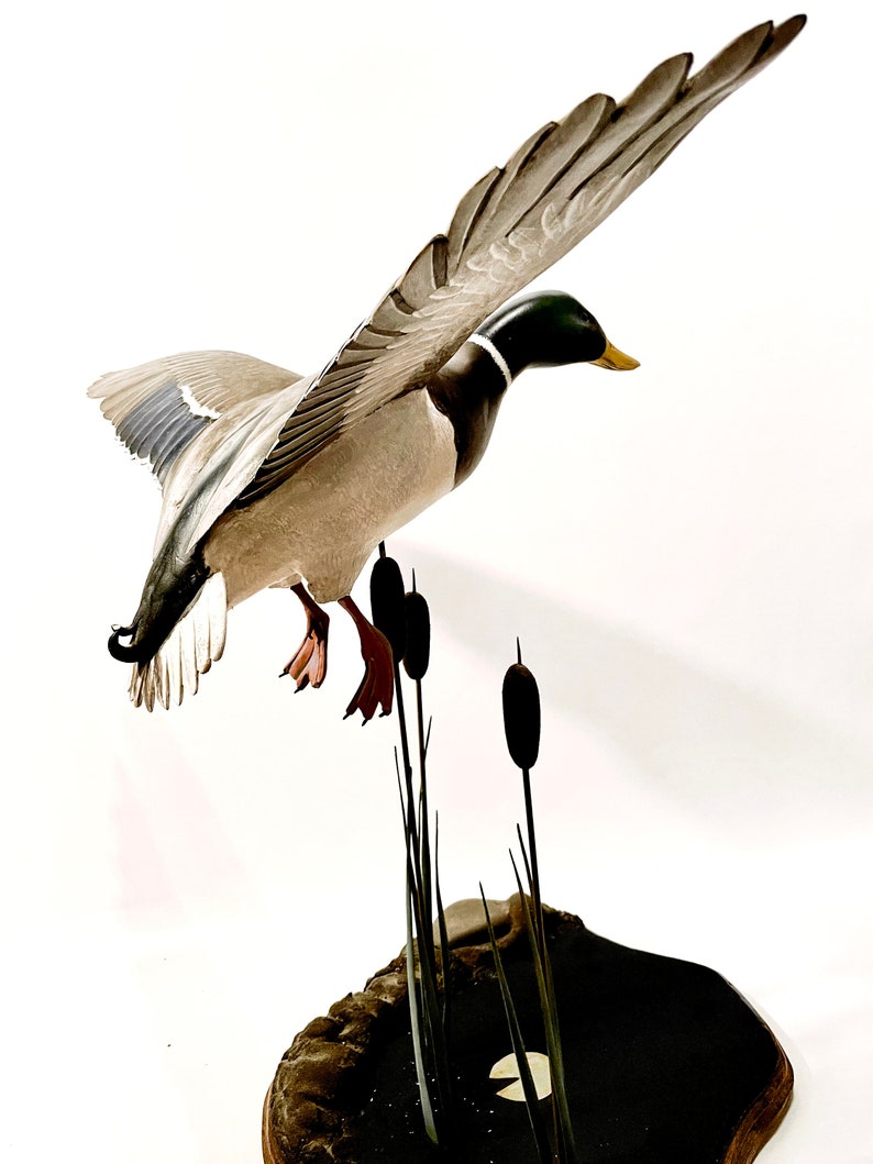 Realistic Wood Carving of a Wood Duck Decoy - Etsy