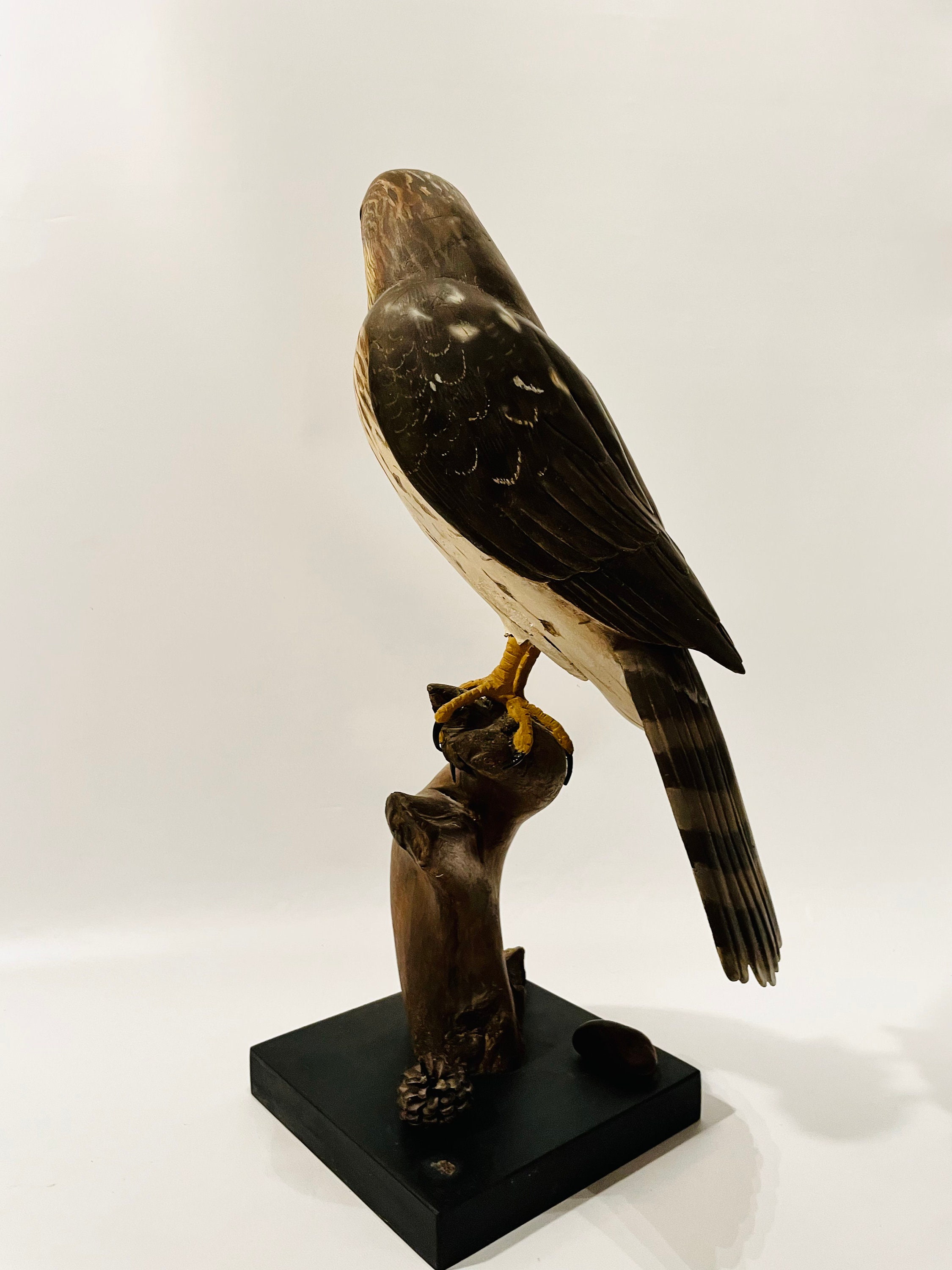 Cooper's Hawk Realistic Wood Carving of a Wood Duck Decoy - Etsy