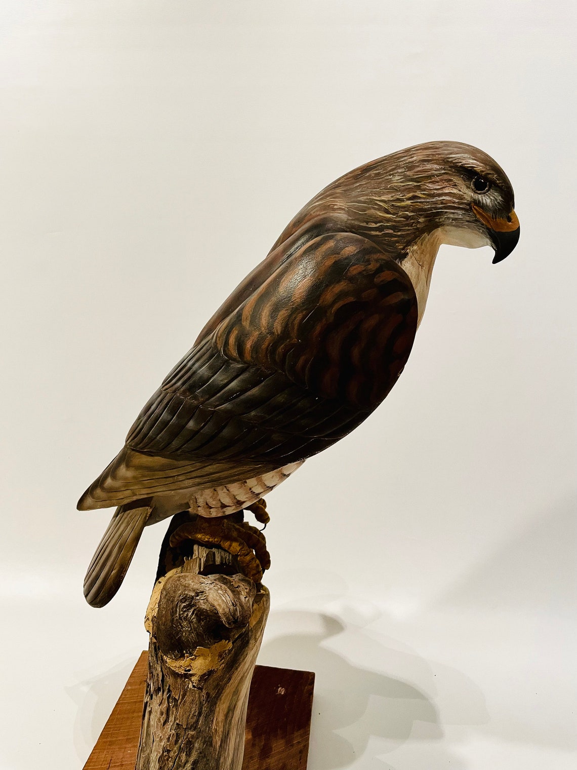 Red-tailed Hawk Realistic Wood Carving of a Wood Duck Decoy - Etsy
