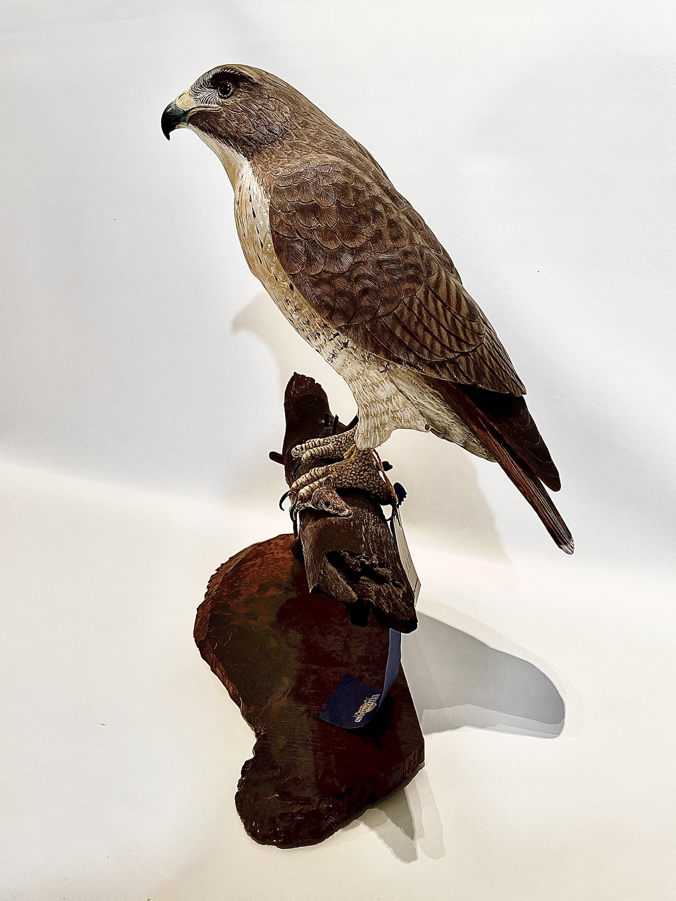 Red-tailed Hawk - Realistic Wood Carving - Etsy