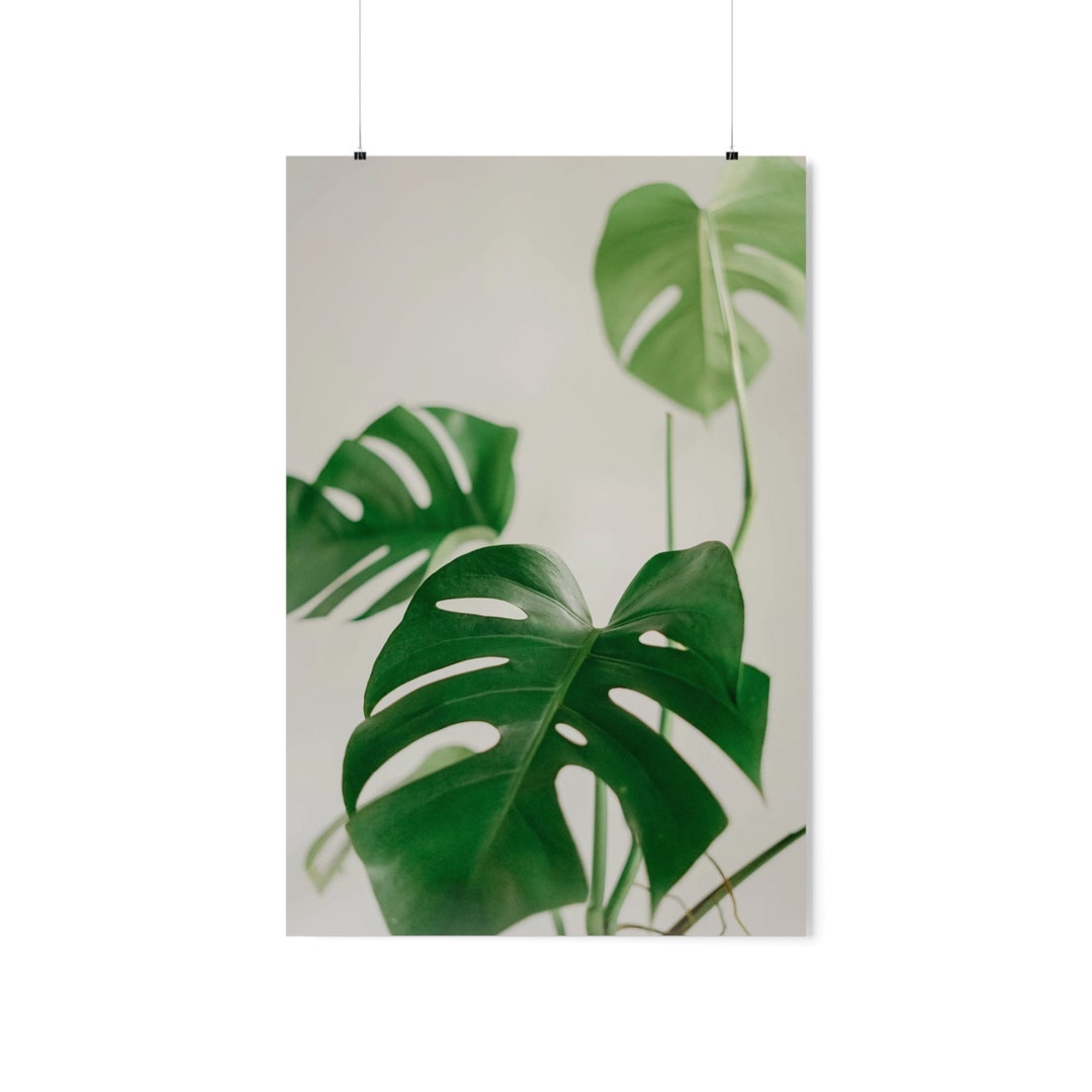 Matte Vertical Monstera Leaf Poster - Etsy