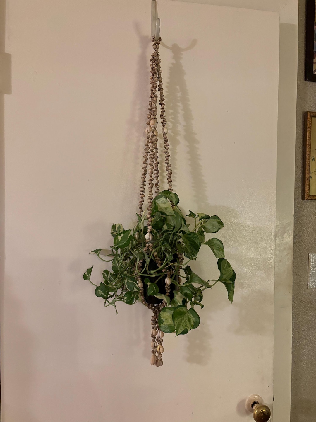 Vintage Plant Planter Hanger Made of Seashells Retro Boho 70s 1970s Sea ...