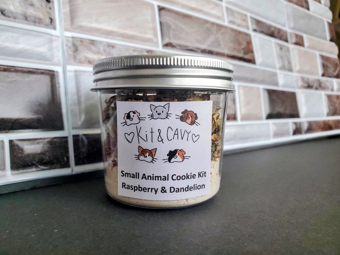 Small Animal Cookie Kit - Raspberry & Dandelion - Etsy