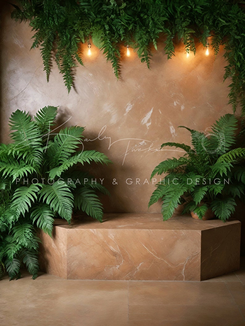 25-image Digital Backdrop Bundle: Desert Style Photoshoot Set Stone ...