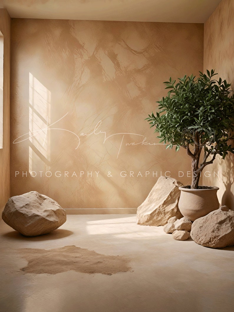 25-image Digital Backdrop Bundle: Desert Style Photoshoot Set Stone ...