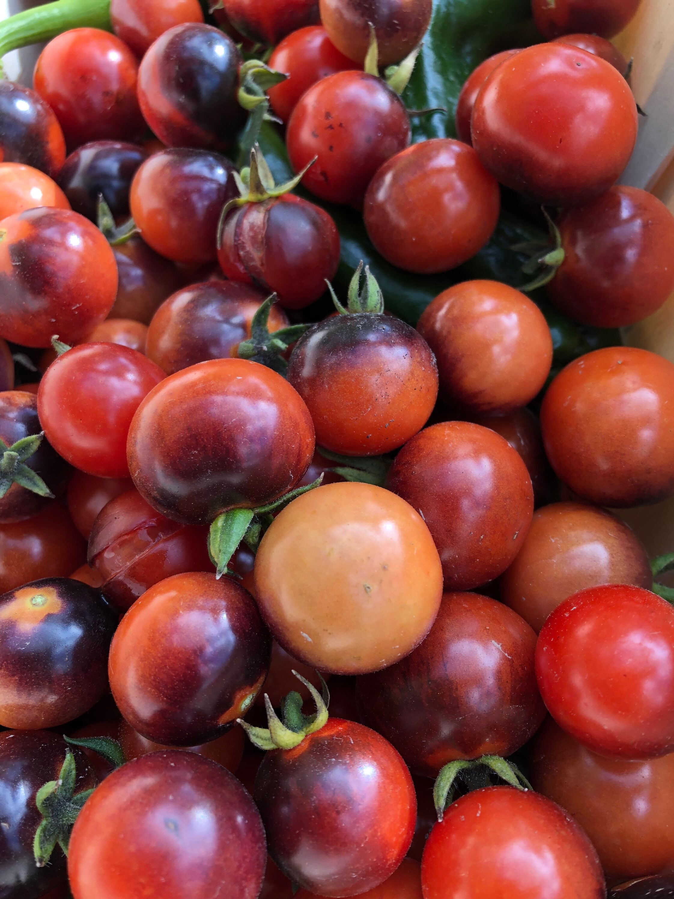 Red White & Blue Cherry Tomatoes Pack!! Home & Living Outdoor ...