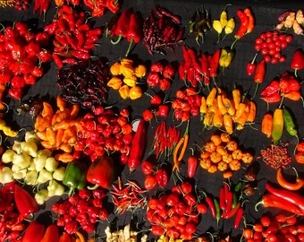 Sweet Datil Pepper Seeds | Etsy