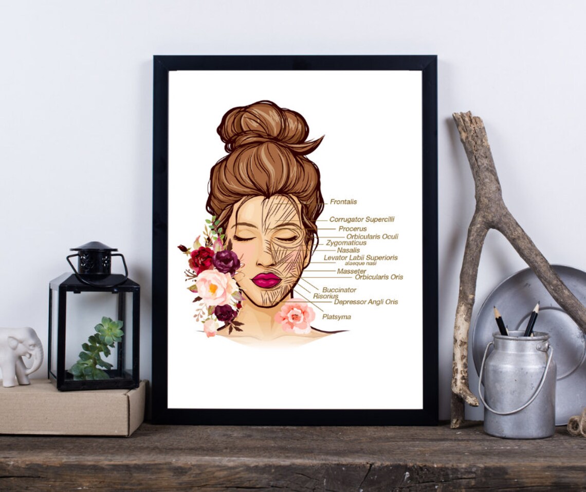 Muscles of the Face Anatomy Anatomical Poster Digital - Etsy