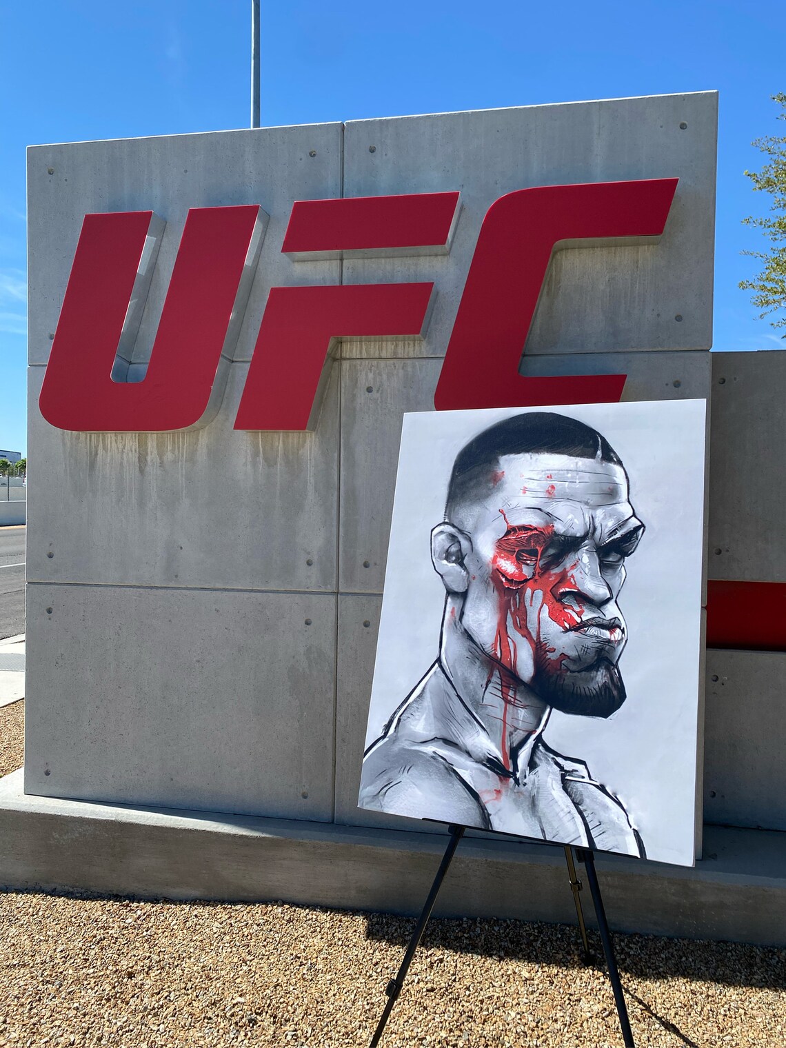 Nate Diaz Bloody UFC Cartoon Canvas Print Wall Art Wall Decor - Etsy