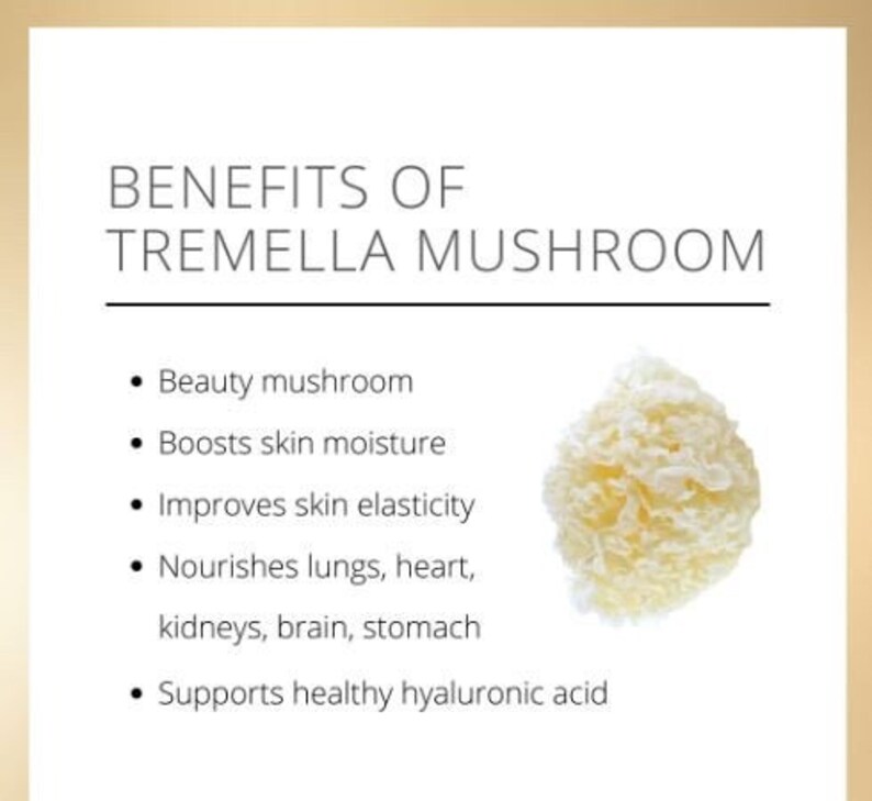 TRAMELLA Triple Extracted Elixir - Etsy