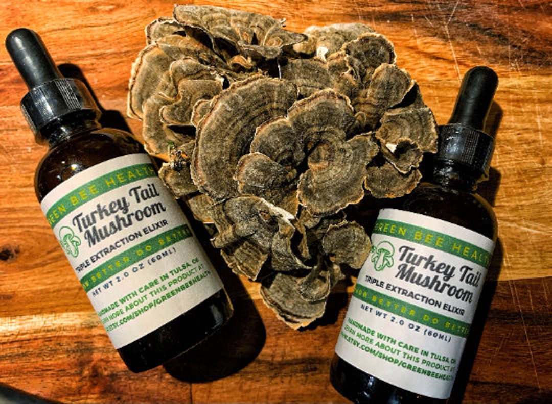 TURKEY TAIL Triple Extracted Elixir - Etsy