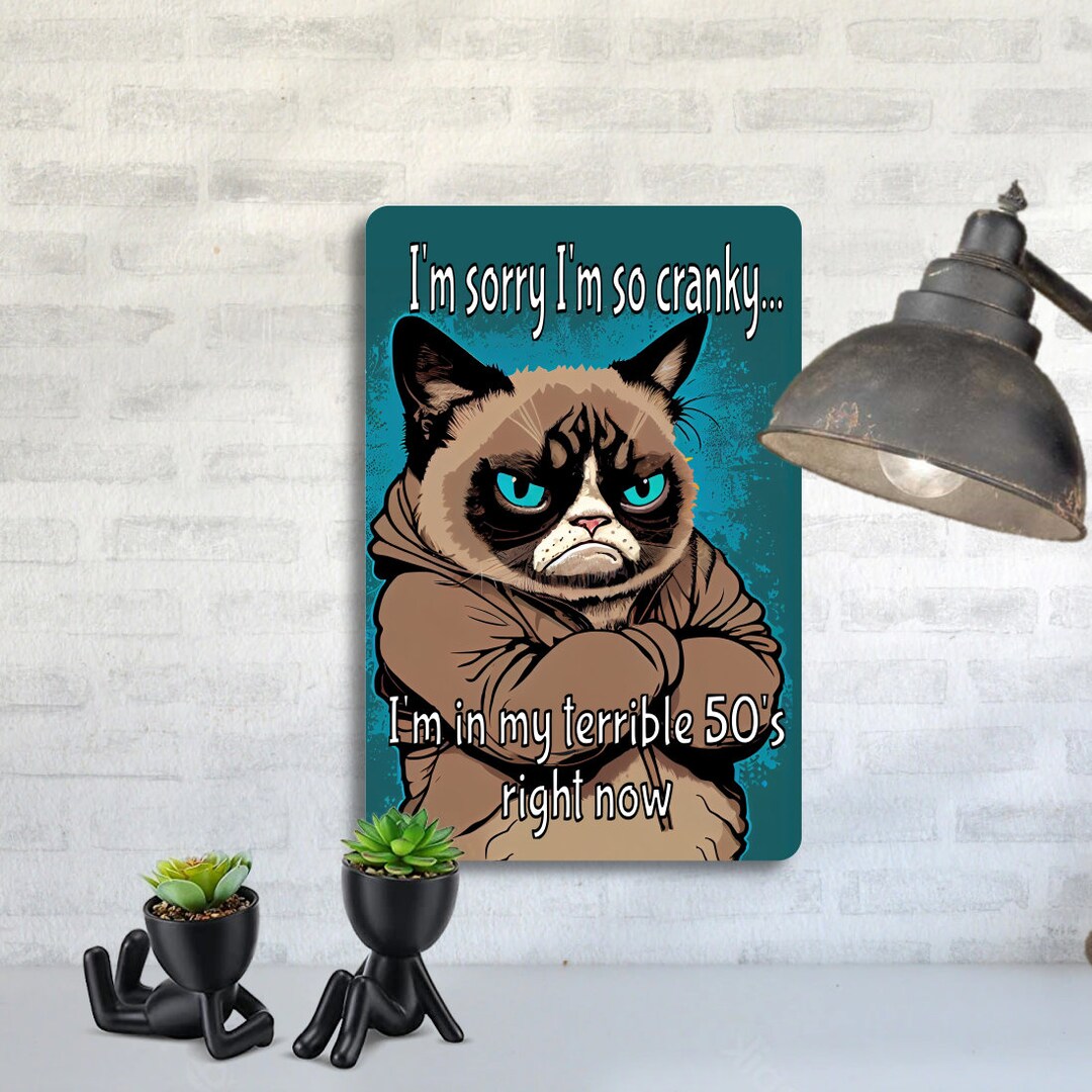 Sorry I'm Cranky, I'm in My Terrible 50's Funny Aluminum Sign, Adult Humor, 50th Birthday Sign ...