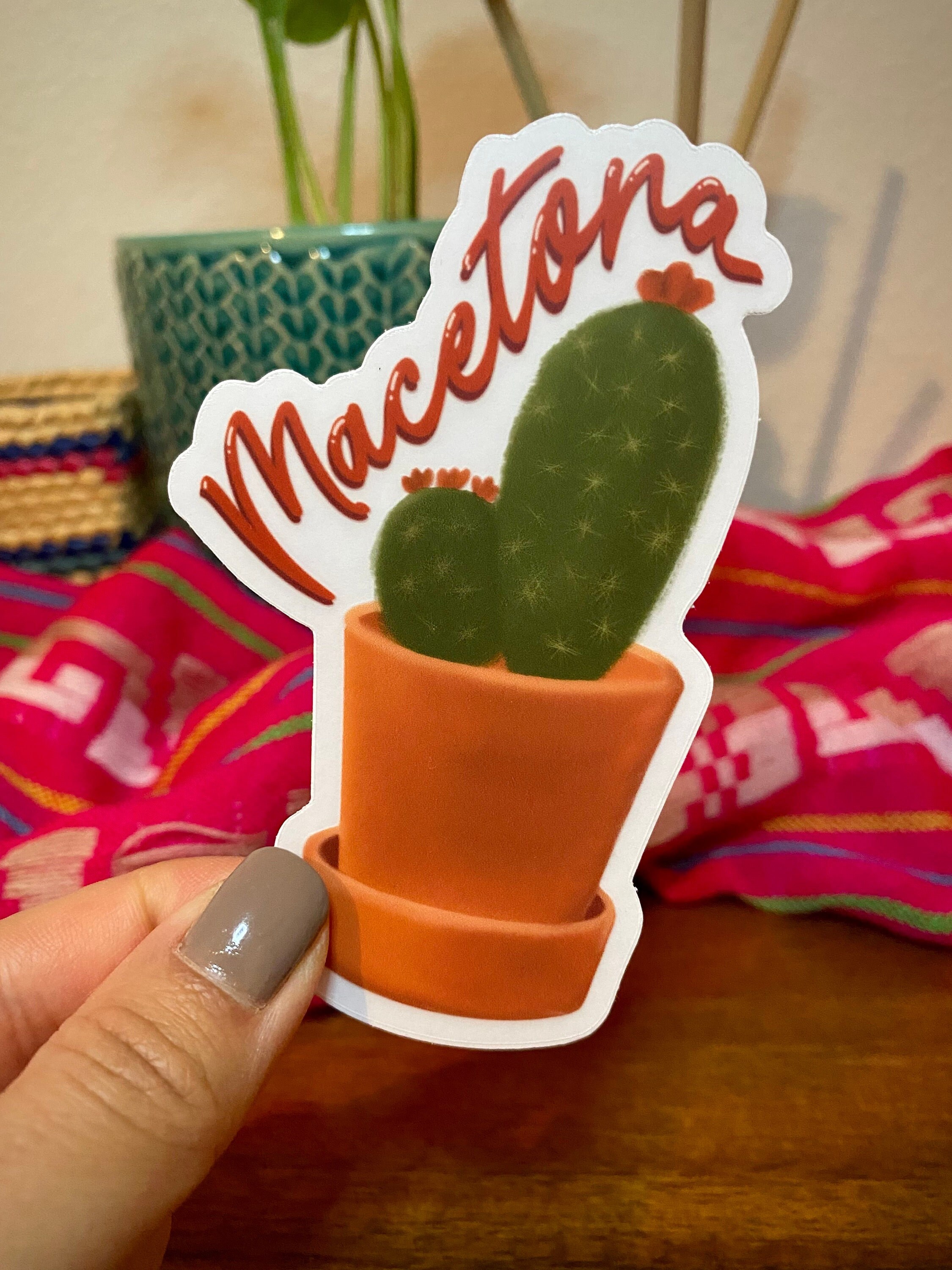 Macetona Nopal Sticker - Clear Cactus Sticker - Plant Sticker - Latina ...