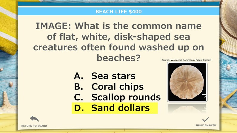 Summer Fun Jeopardy Trivia - Digital Party Game, Customizable Resource ...