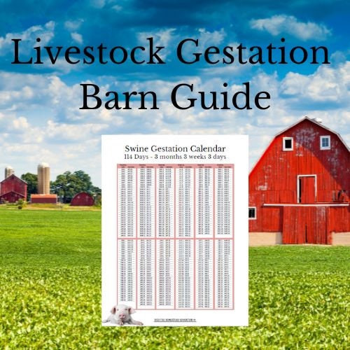 Livestock Gestation Barn Guide- Digital - Etsy