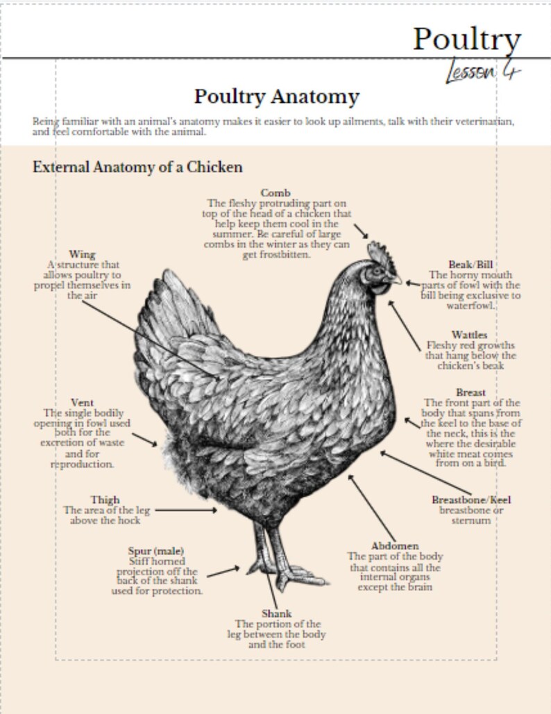 Introduction to Homestead Science - Print - Etsy