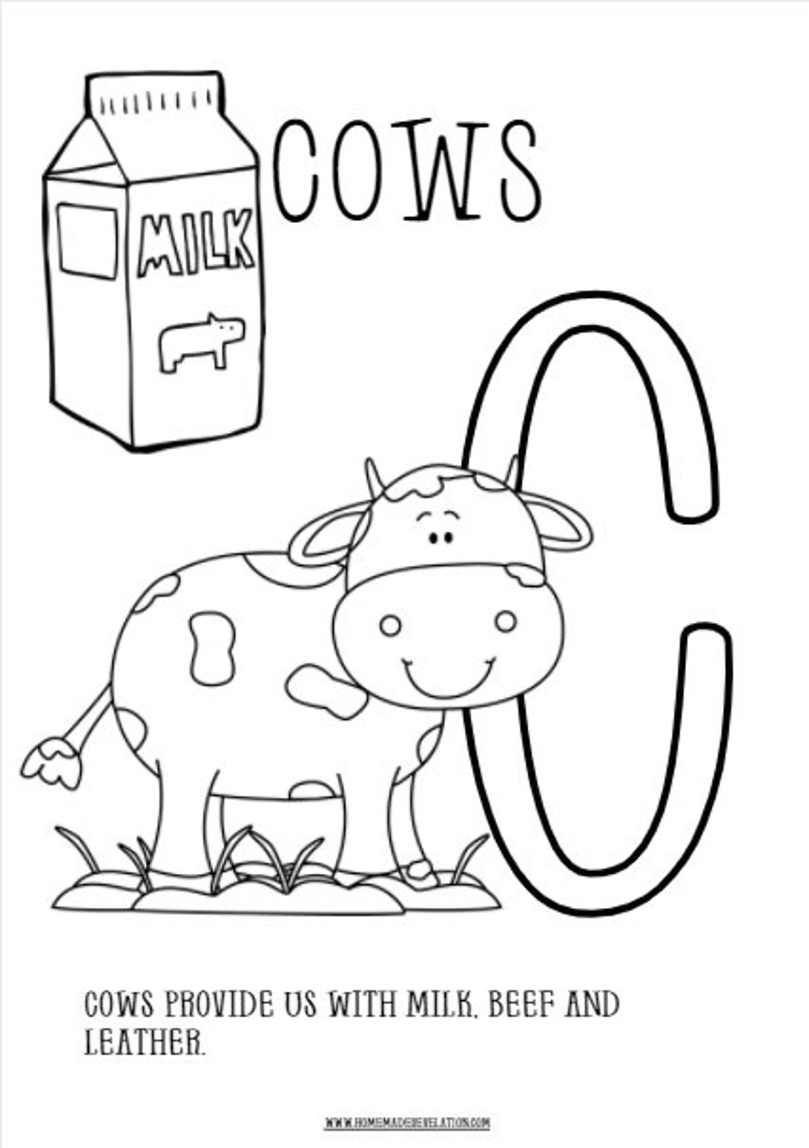 Homestead Alphabet Printable Workbook - Etsy