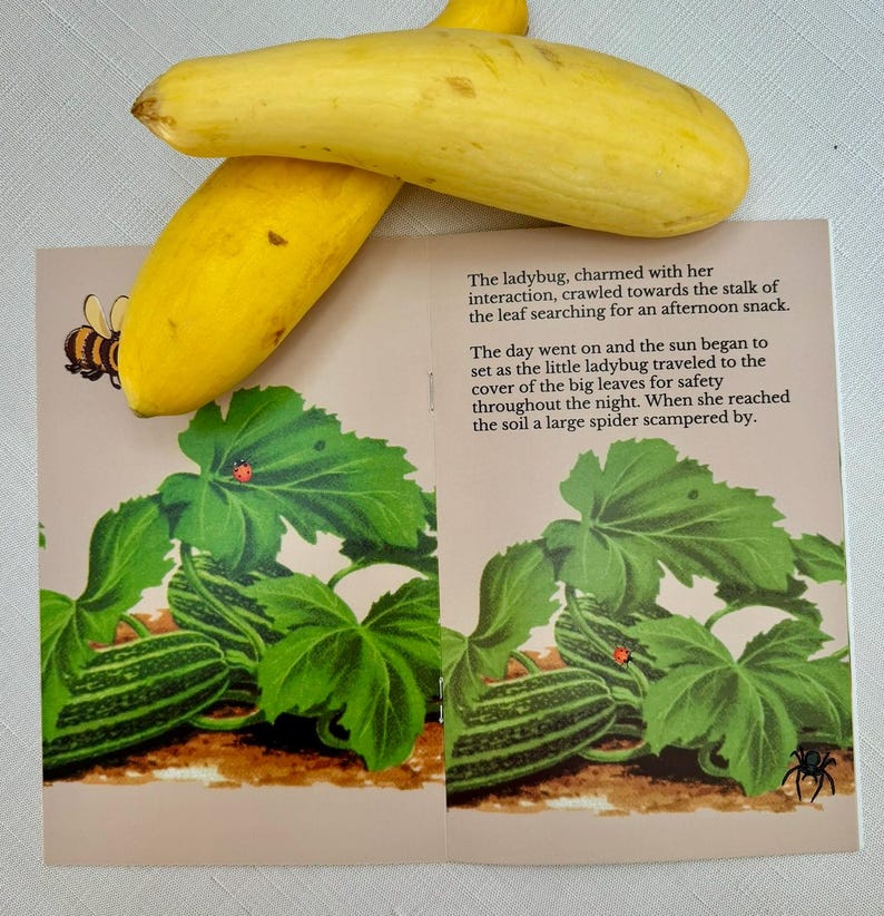 My Favorite Squash - Etsy