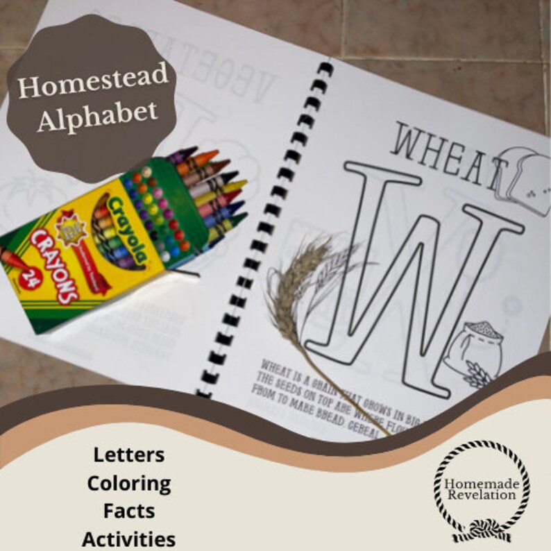 Homestead Alphabet Printable Workbook (Download Now) - Etsy