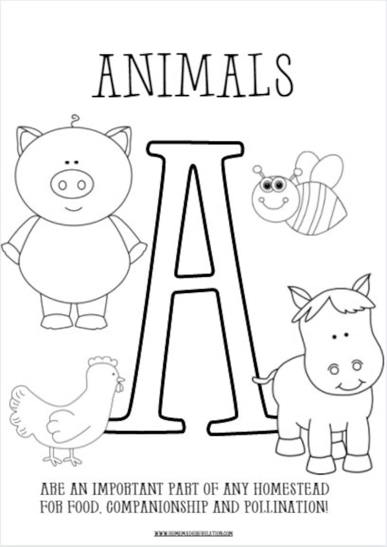 Homestead Alphabet Printable Workbook - Etsy