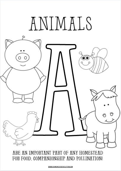 Homestead Alphabet Printable Workbook - Etsy