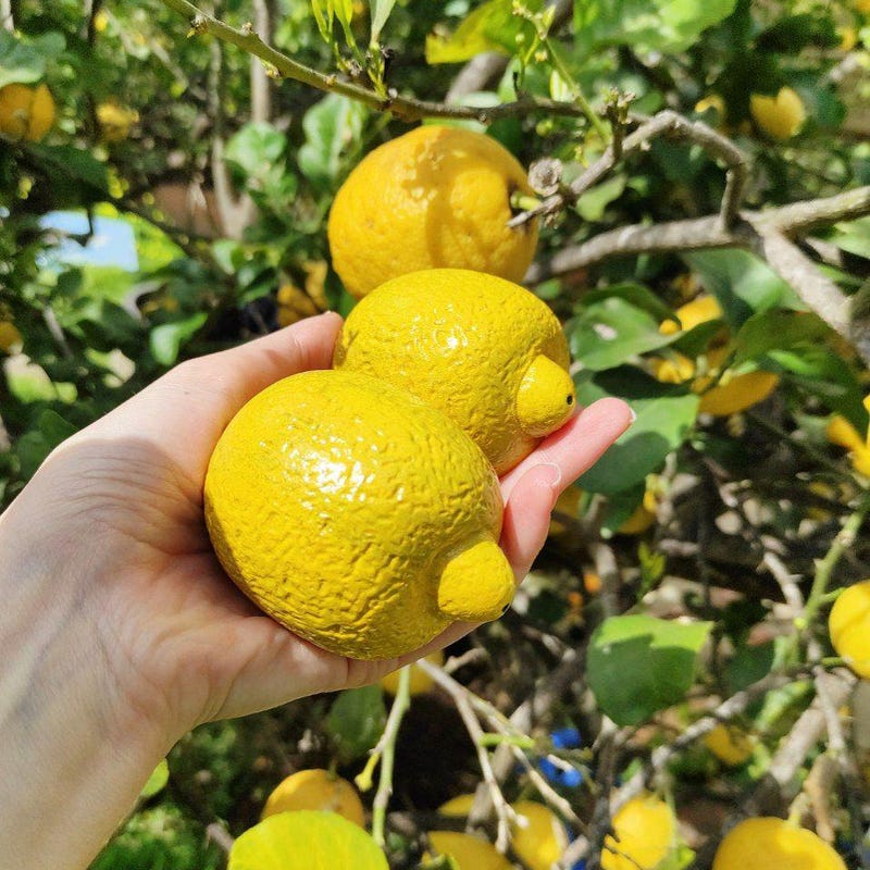 Realistic Fake Lemons - Etsy