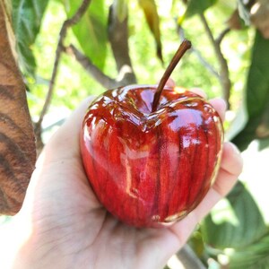Large Red Apples in Olive Wood Wooden Fruit Wooden Carved Apples ...