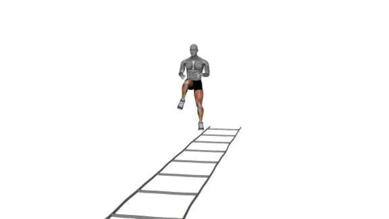 12500+ Videos, 4500+ Illustrations, Workout, Gym, Exercise, Fitness ...