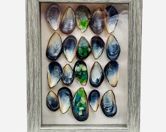 Shadow Box Shells | Etsy