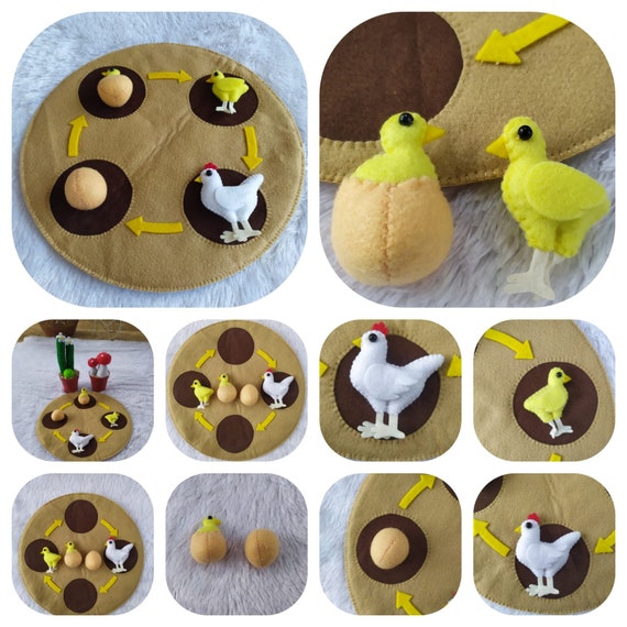 Toys Baby & Toddler Toys felt Life Cycle Tray Life Cycle of Chicken ...