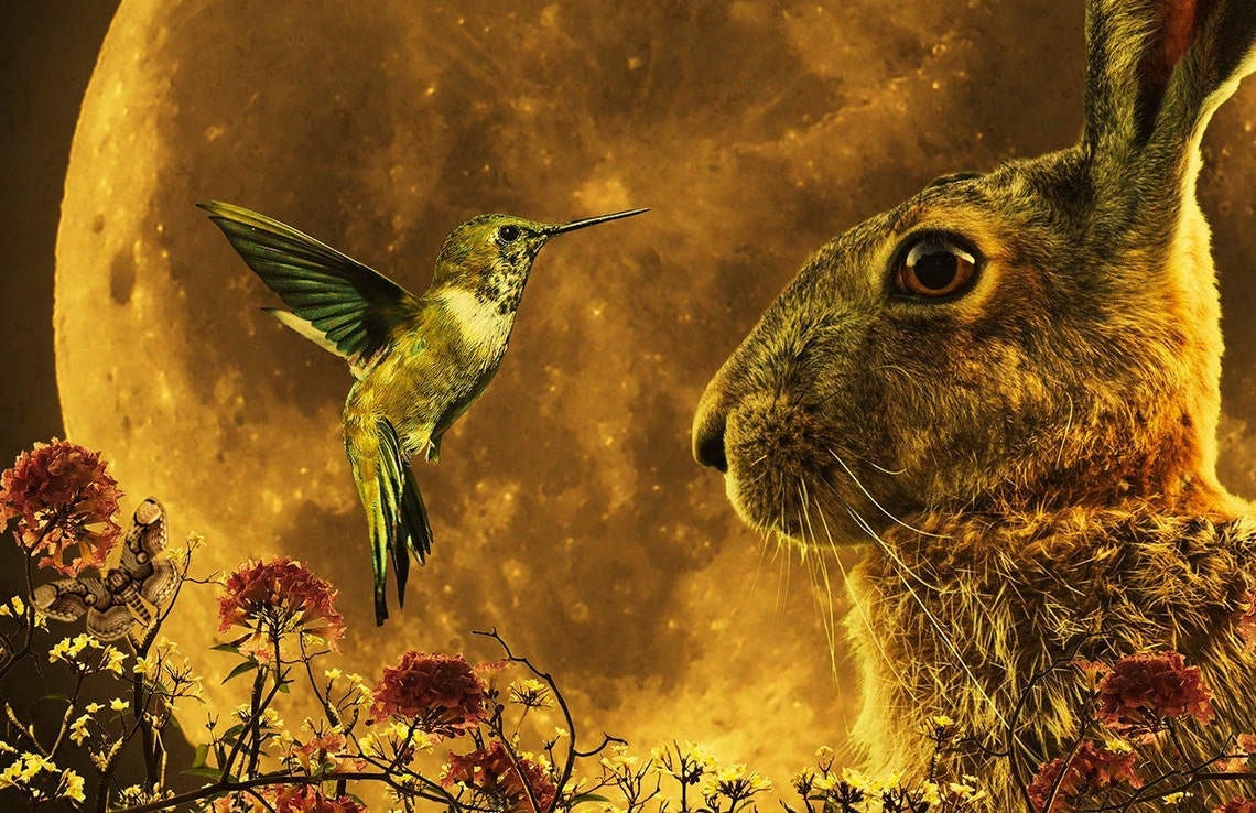 Moon Hare Fine Art Print - Etsy