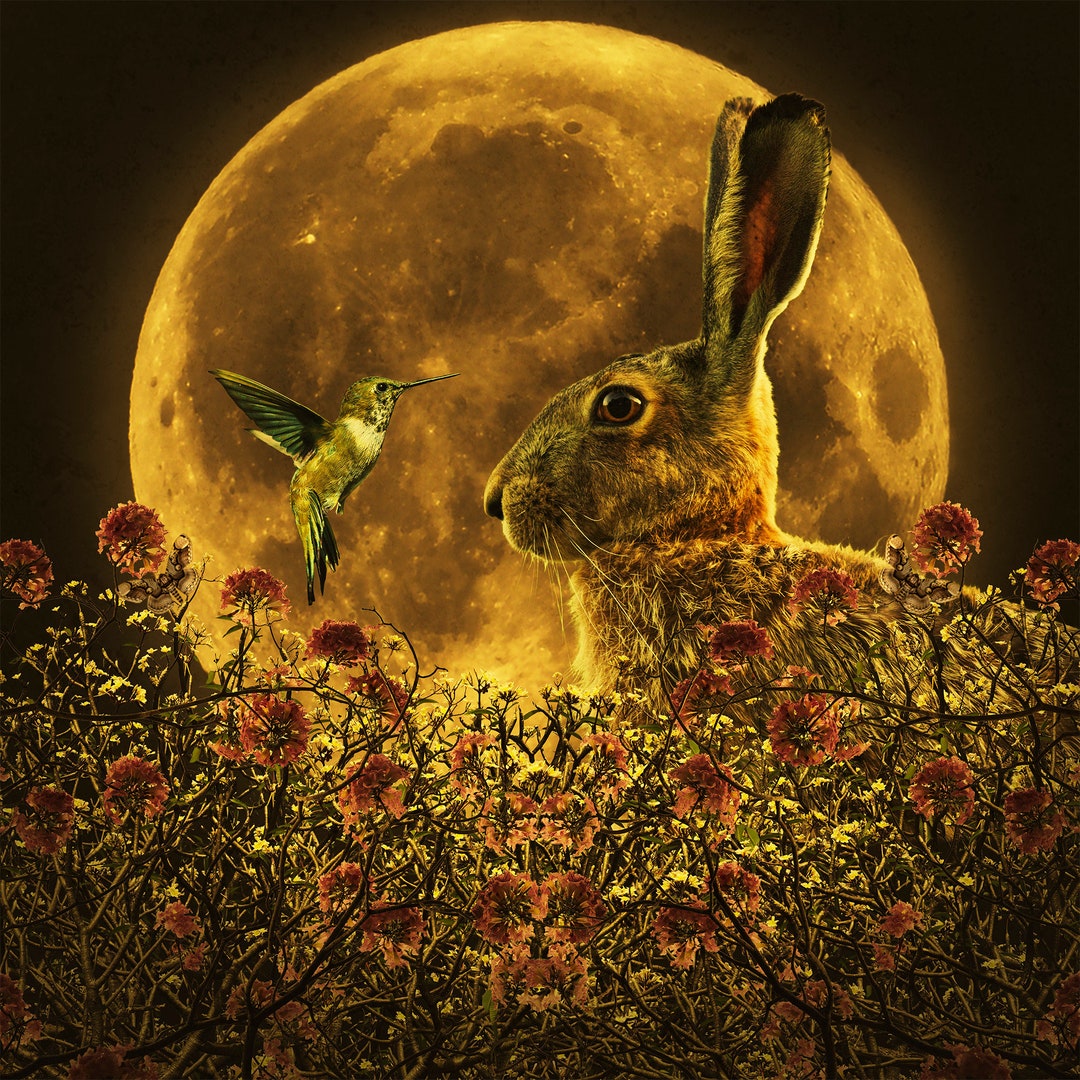 Moon Hare Fine Art Print - Etsy