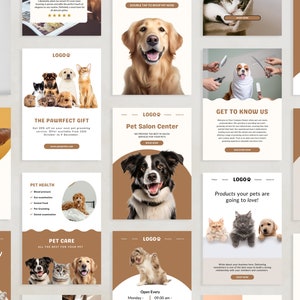 30 Pet Email Template, Dog Cat Pet Lover Vet Template, Pet Shop Email ...